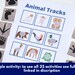 Pre-k Animal Busy Book Printable Activity | Animal Classifications ...