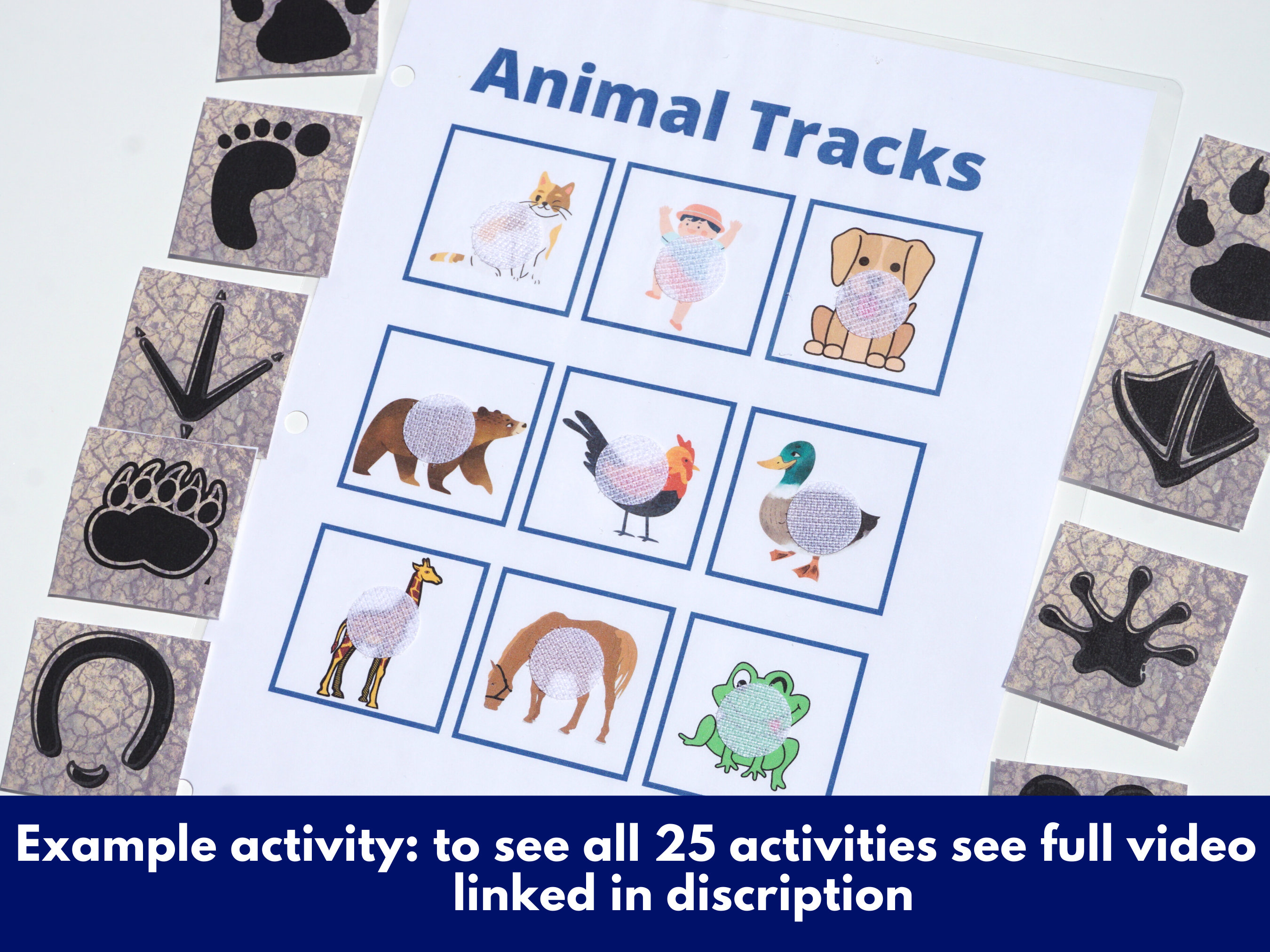Pre-k Animal Busy Book Printable Activity | Animal Classifications ...