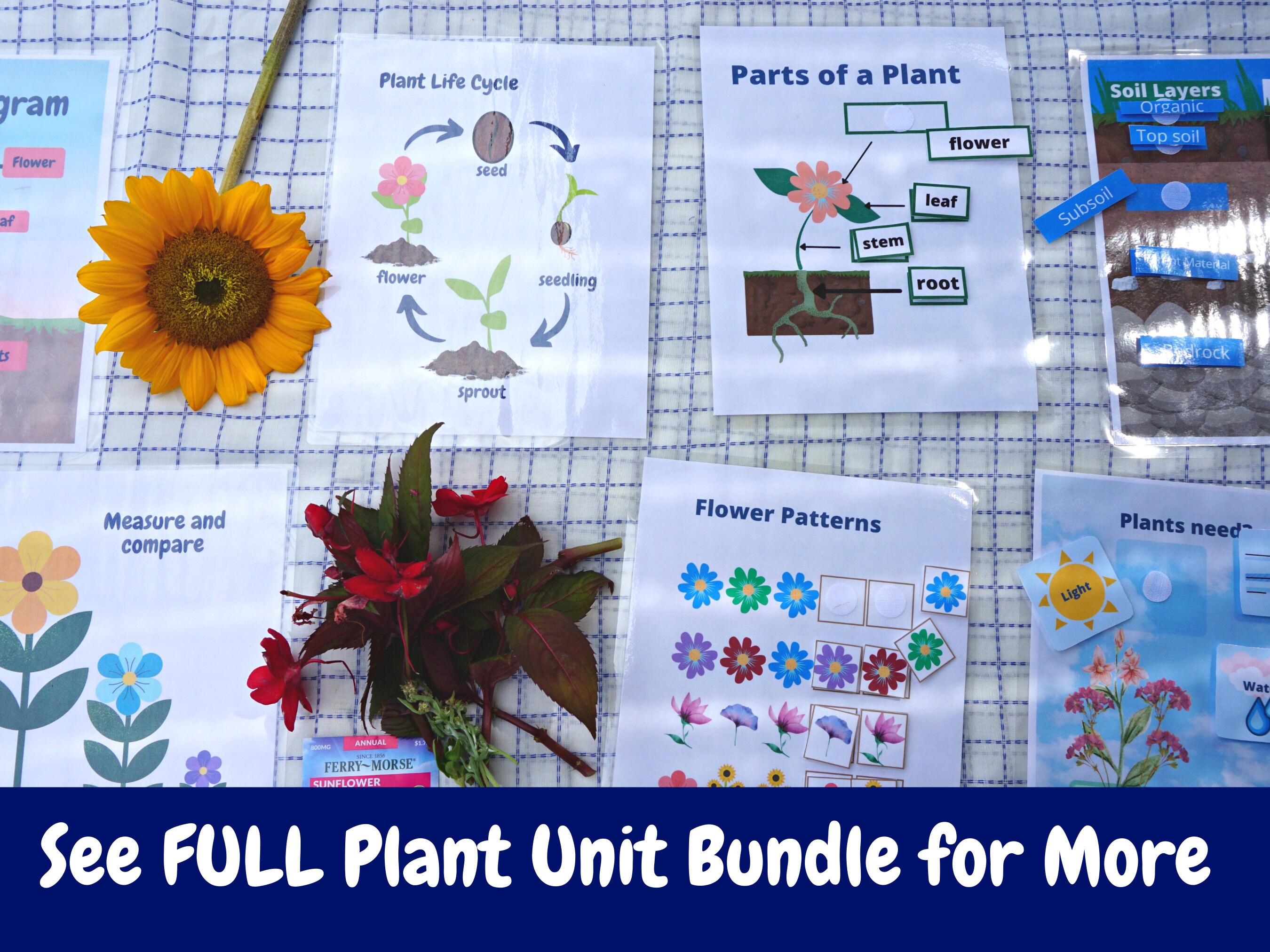 Pre-k Flower Pattern Printable Activity for Busy Book | Plant Unit ...
