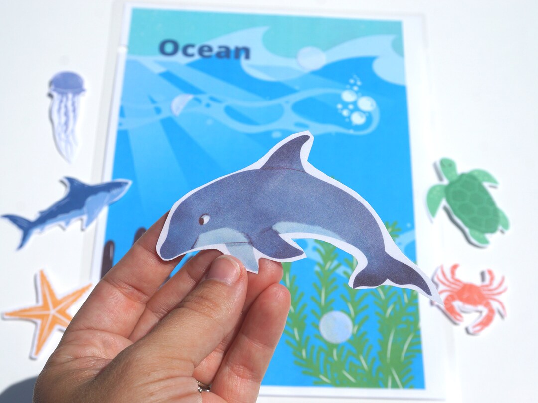 Ocean Biome/habitat Printable Preschool Activity for Busy Book | PRE-K ...