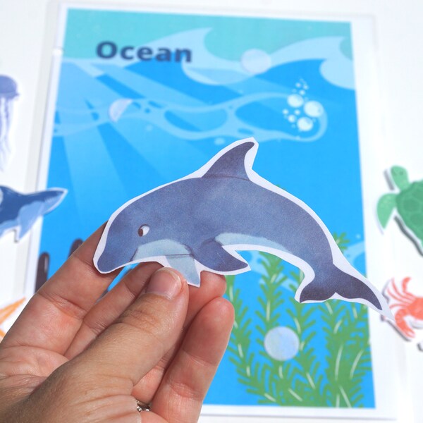 Ocean Preschool Unit - Etsy