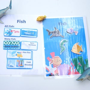 Pre-k Fish Printable Activities for Busy Book | Fish Unit | What is a ...