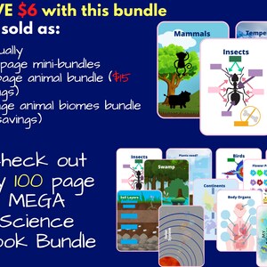 Pre-k Animal Busy Book Printable Activity | Animal Classifications ...