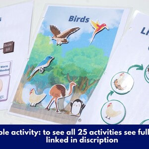 Pre-k Animal Printable Busy Book Activity Bundle | Science, Biomes ...