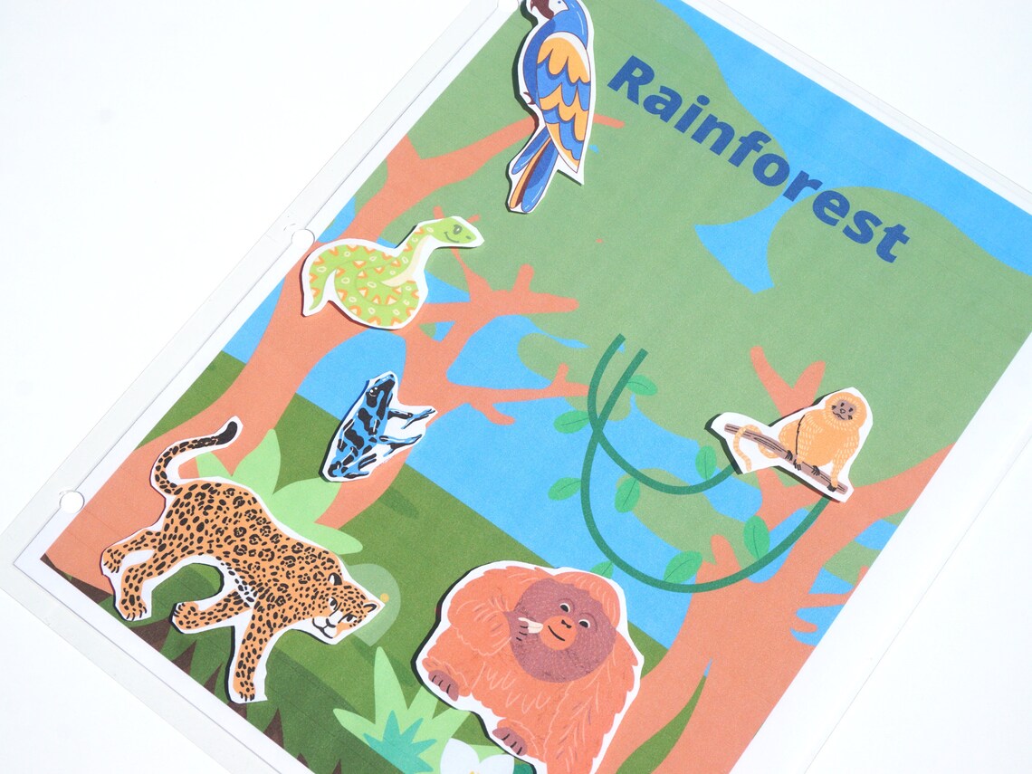 Rainforest Animals Habitat and Biome Printable Download Activity for ...