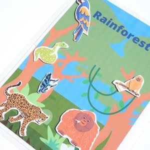 Rainforest Animals Habitat and Biome Printable Download Activity for ...