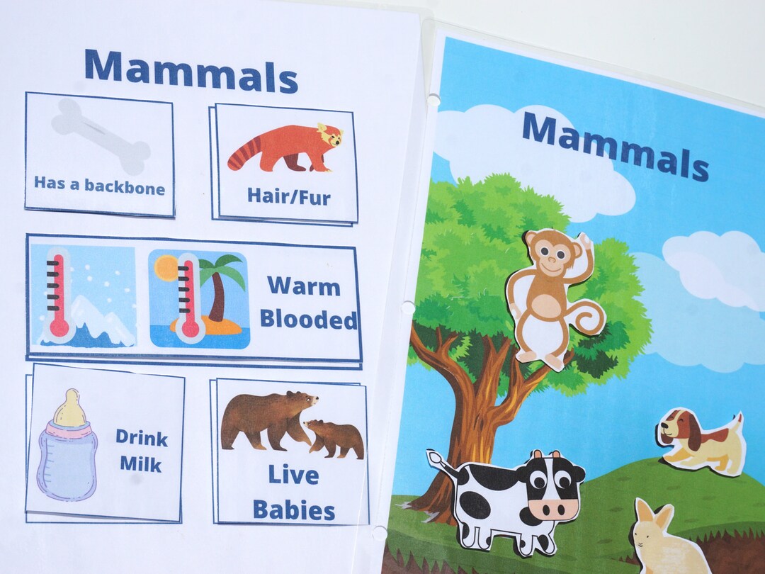 Mammal Classification Activity for Printable Busy Book | Animal ...