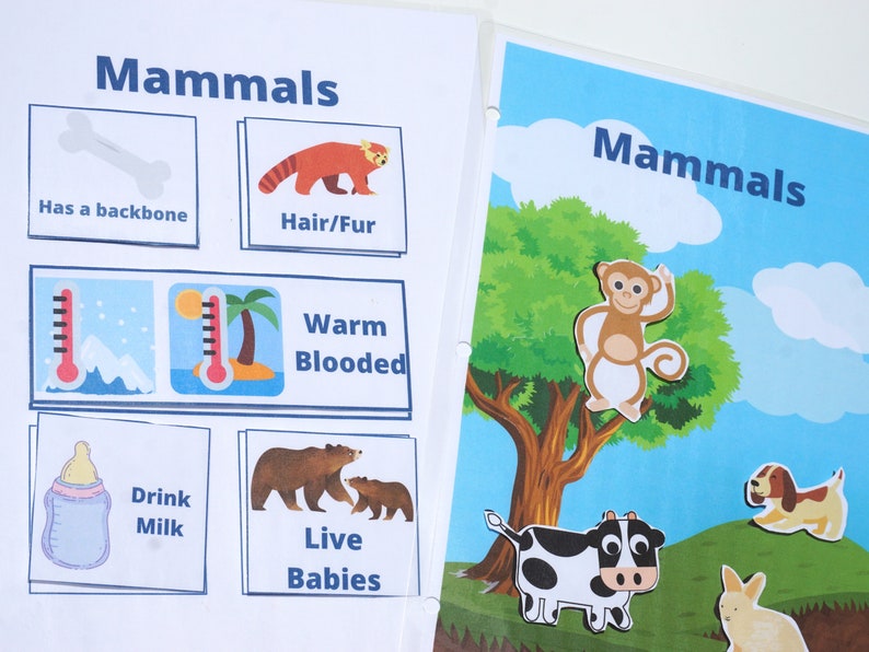 Mammal Classification Activity for Printable Busy Book | Animal ...