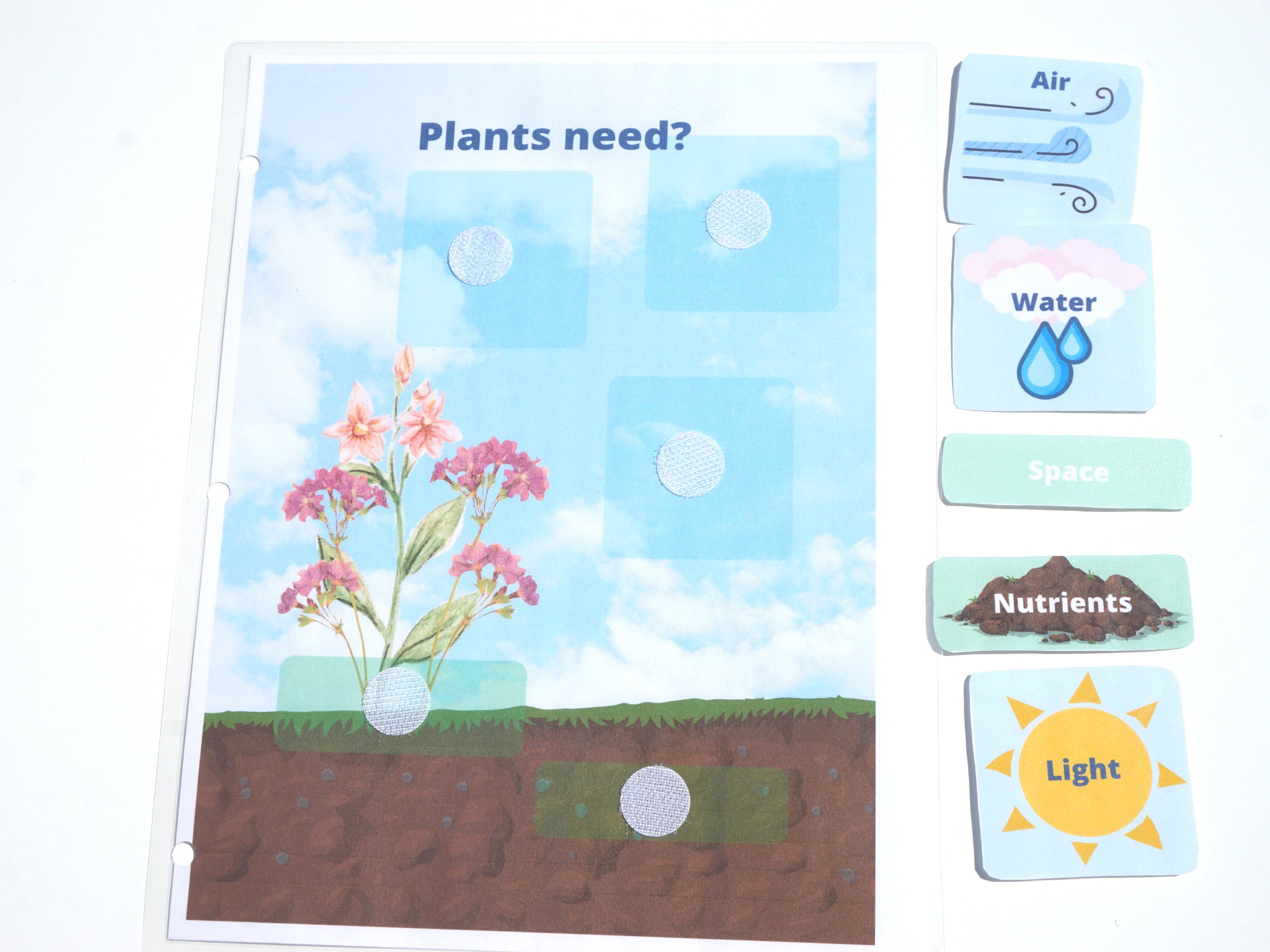 What Plants Need Printable Activity for Pre-k Science Busy Book ...