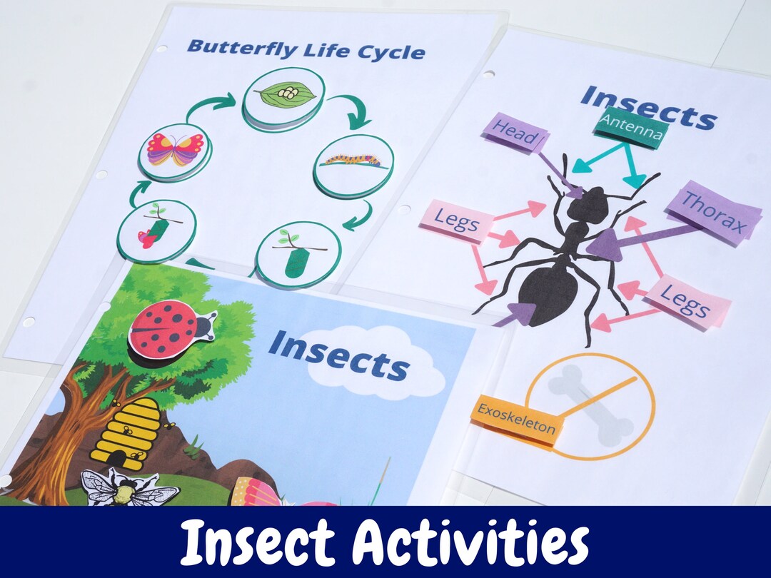 Pre-k Insect Activity Bundle for Busy Book | Animal Classification ...