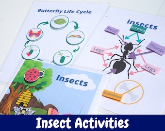 Butterfly Life Cycle Book - Etsy