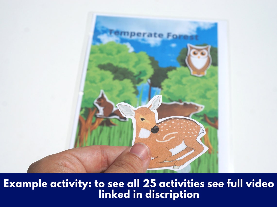 Pre-k Animal Printable Busy Book Activity Bundle Science, Biomes ...