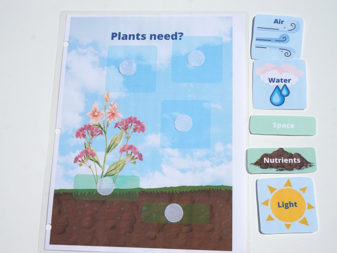 Pre-k Plant Busy Book Printable Activity Bundle Plant Unit for ...