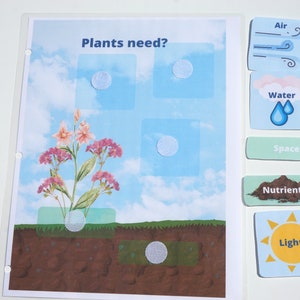 Pre-k Plant Busy Book Printable Activity Bundle | Plant Unit for ...