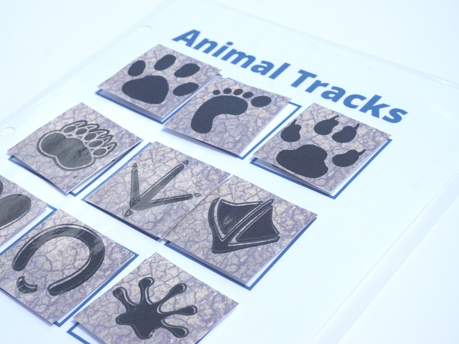 Animal Tracks Printable Activity for Busy Book | Pre-k Science Learning ...
