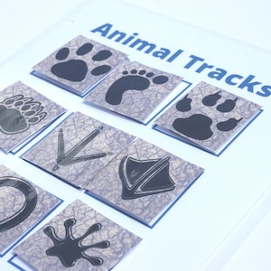 Animal Tracks Printable Activity for Busy Book | Pre-k Science Learning ...