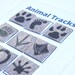 Animal Tracks Printable Activity for Busy Book Pre-k Science Learning ...