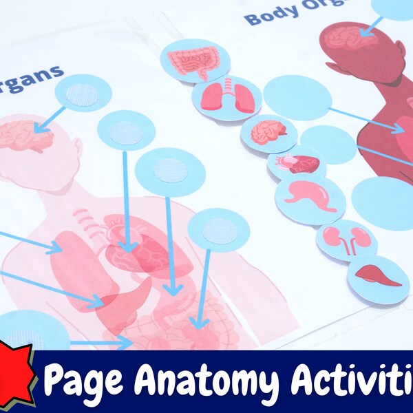 Organs of Senses - Etsy