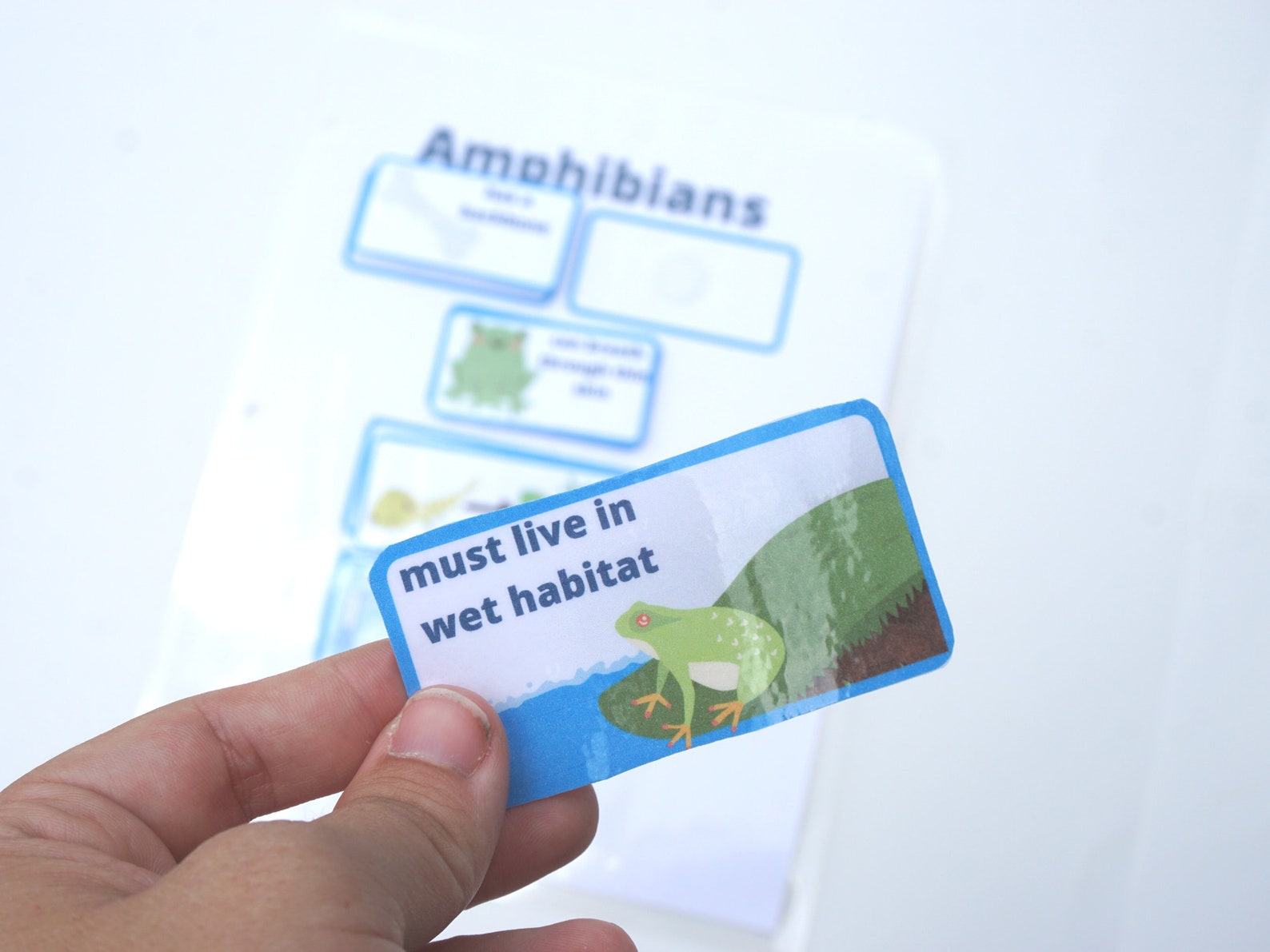 Amphibian Activities for Printable Preschool Busy Book Animal ...