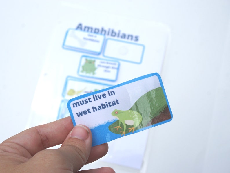 Amphibian Activities for Printable Preschool Busy Book | Animal ...