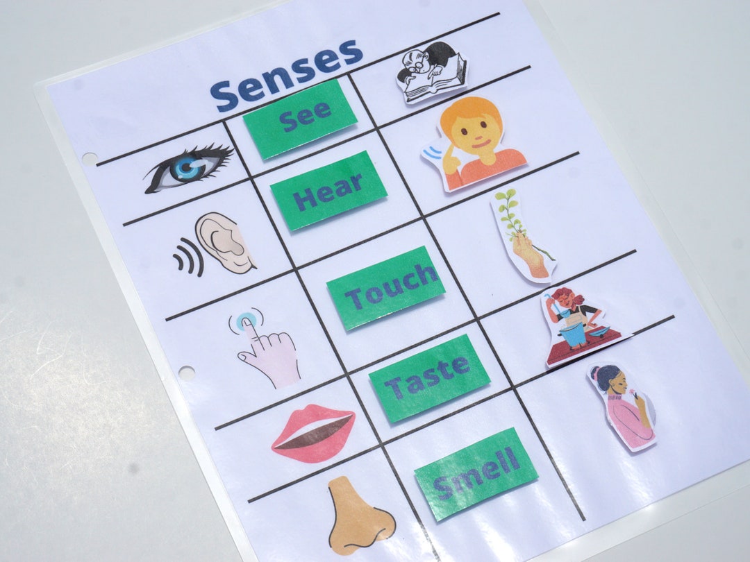 5 Senses Matching Busy Book Activity | Pre-k Printable Human Body ...