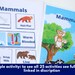Pre-k Animal Printable Busy Book Activity Bundle | Science, Biomes ...