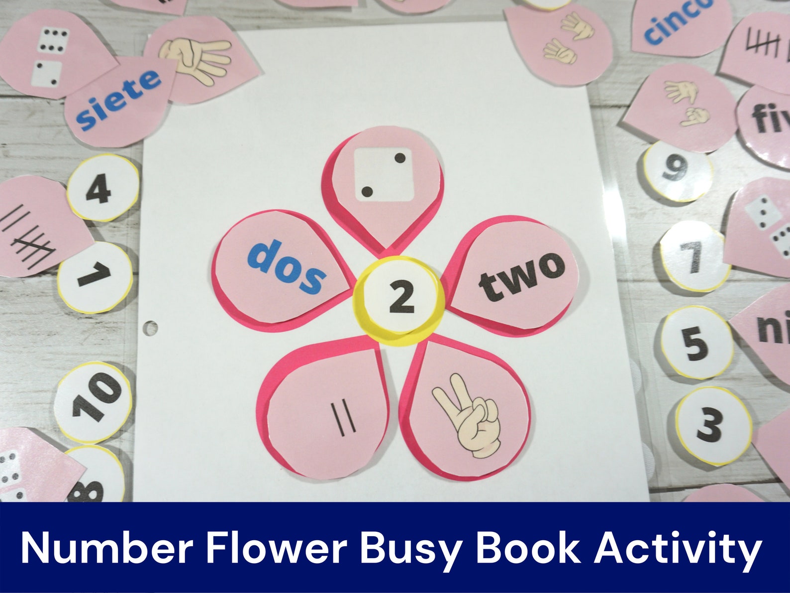 Preschool Learning Binder Number Activity. Toddler Busy Book Math ...
