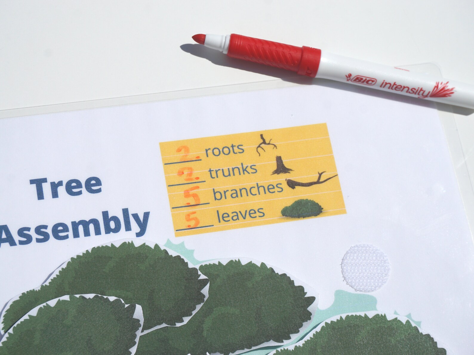 Build A Tree Printable Activity for Pre-k Science Busy Book | Garden ...