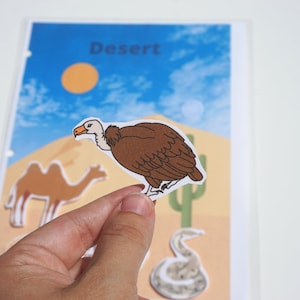 Desert Animal Habitat and Biome Printable Download Activity for Busy ...