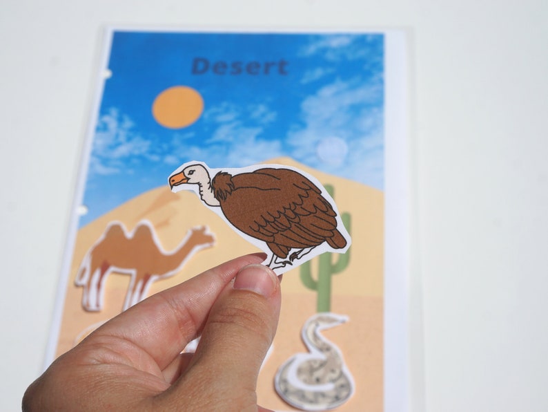 Desert Animal Habitat and Biome Printable Download Activity for Busy ...