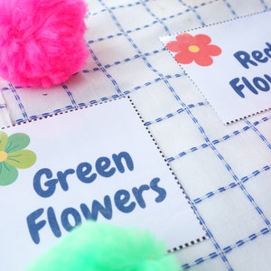 Flower Shop Pretend Play Printable Activity | Plant Unit | Preschool ...
