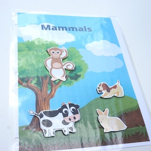 Mammal Classification Activity for Printable Busy Book | Animal ...