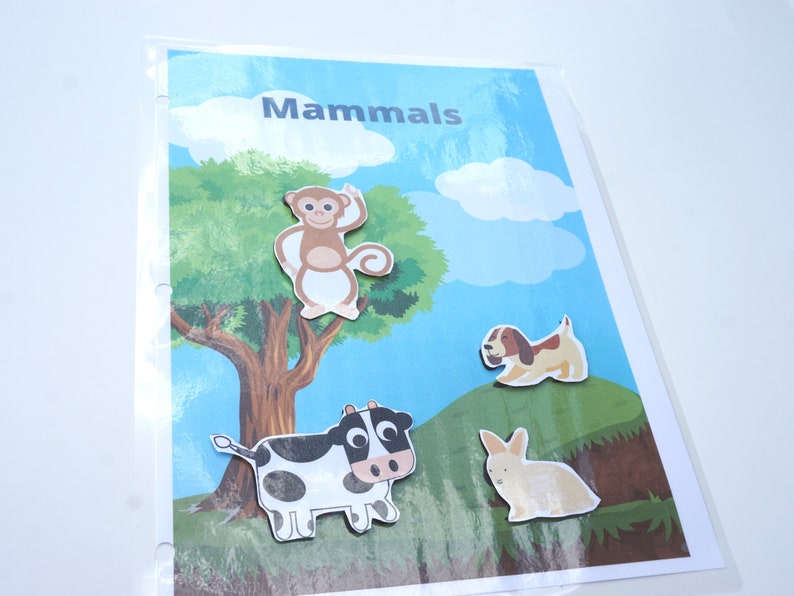 Mammal Classification Activity for Printable Busy Book | Animal ...