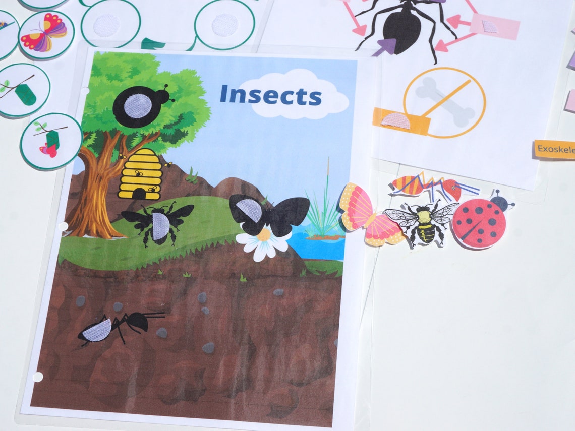 Pre-k Insect Activity Bundle for Busy Book | Animal Classification ...