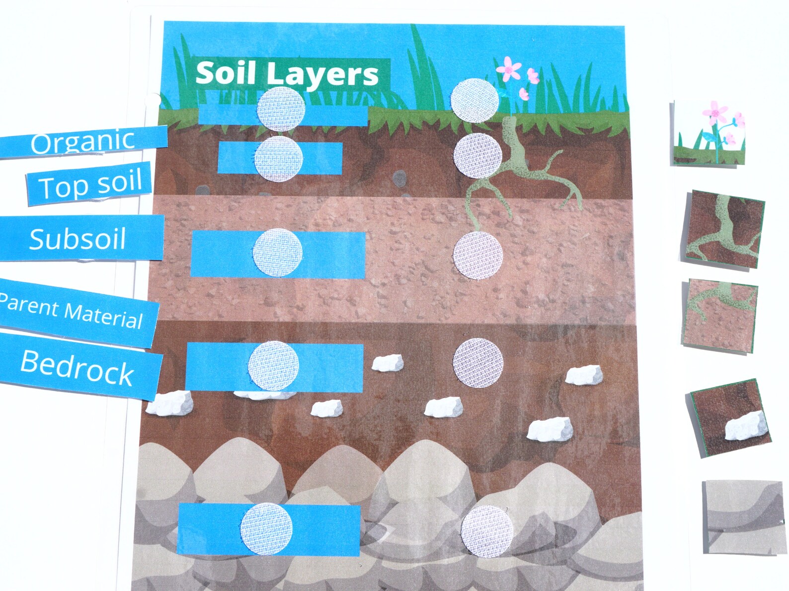 Pre-k Plant Busy Book Printable Activity Bundle | Plant Unit for ...