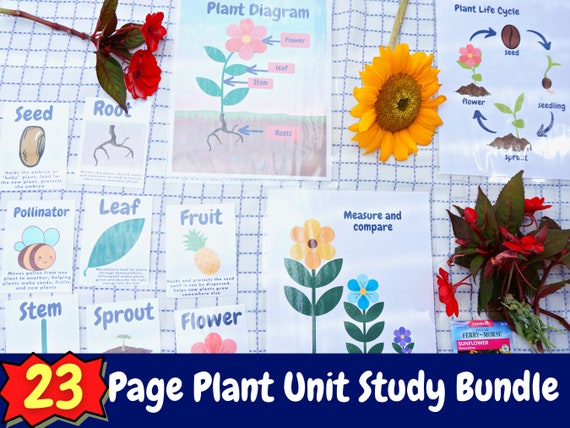 Plant Unit Study MEGA Bundle Printable Download Garden Theme - Etsy