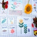 Plant Unit Study Printable BUNDLE for Preschool, Pre-k, Kindergarten ...