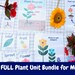 Plant Vocabulary Flash Cards Wall Printable for Pre-k Plant Unit Study ...