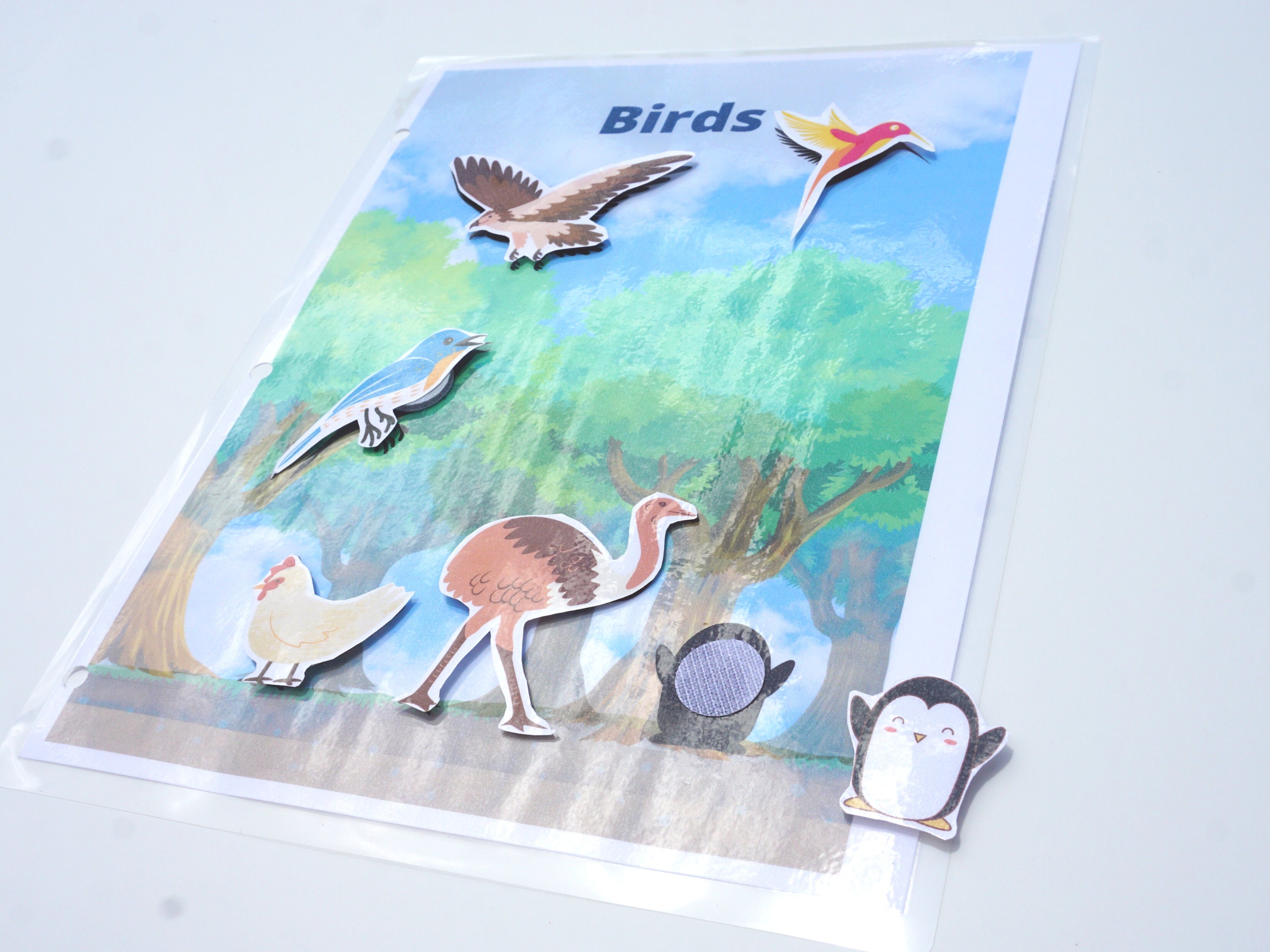 Bird Activity Printable Bundle for Preschool Busy Book | Pre-k Science ...