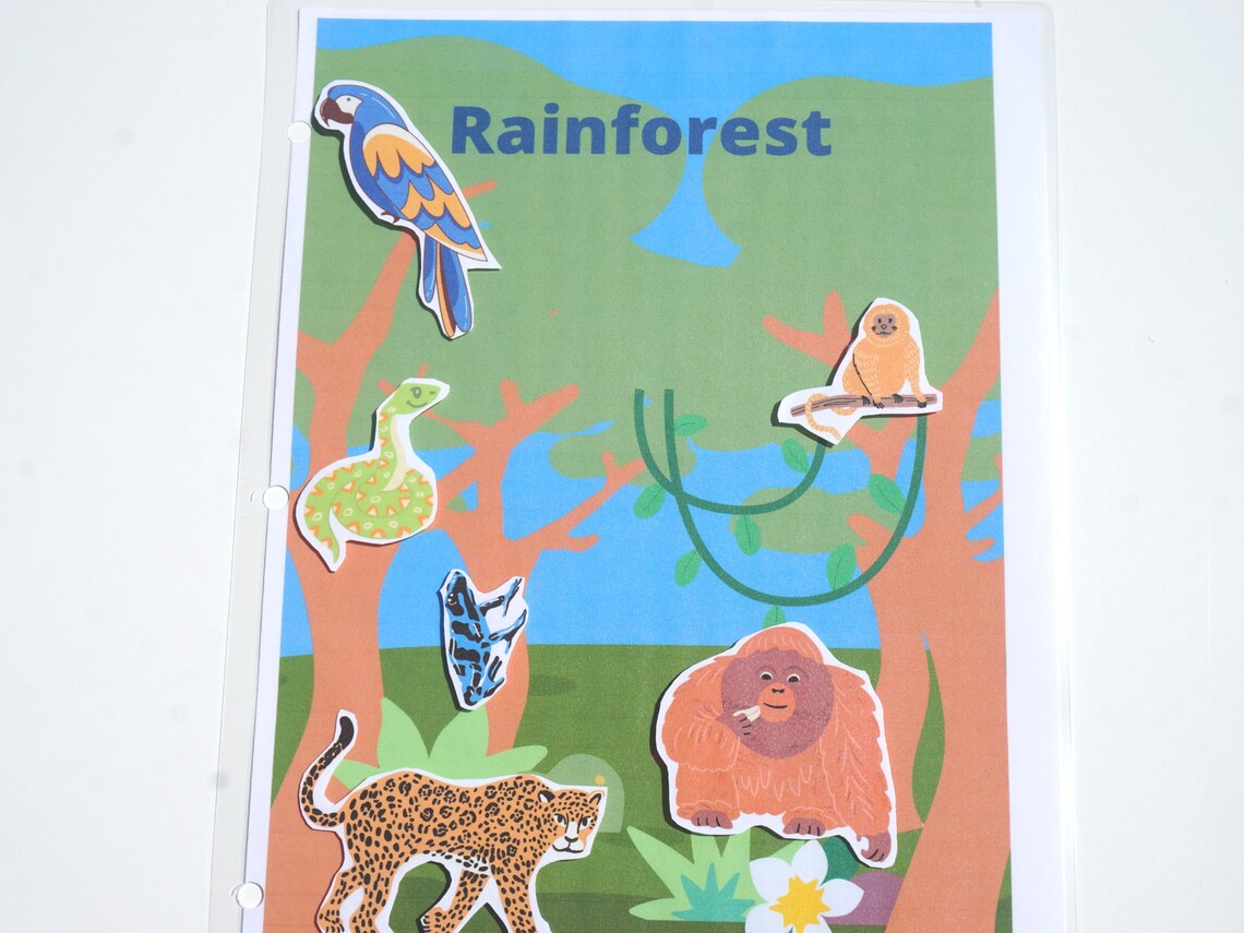 Rainforest Animals Habitat and Biome Printable Download Activity for ...