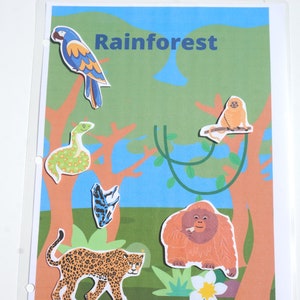 Rainforest Animals Habitat and Biome Printable Download Activity for ...