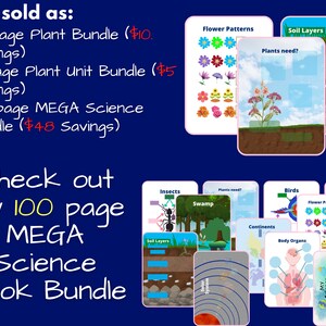 Parts of a Plant Pre-k Printable Activity Page for Busy Book/learning ...