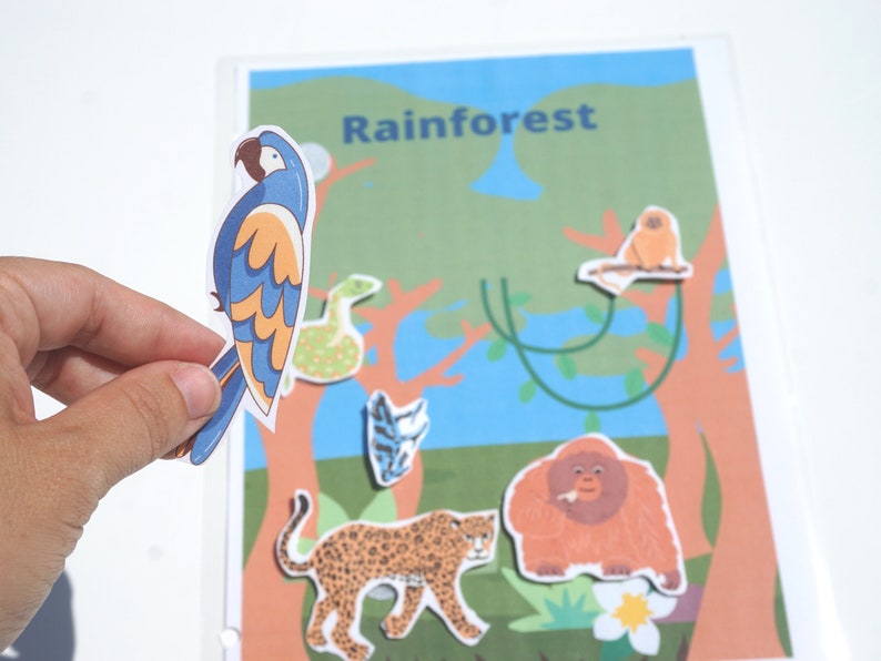 Rainforest Animals Habitat and Biome Printable Download Activity for ...