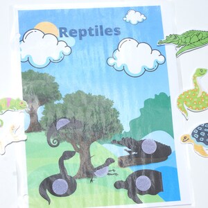 Pre-k Reptile Classification Printable Activity for Busy Book ...