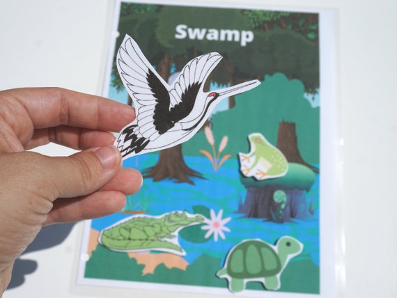 Swamp Animal Habitat Printable Activity for Learning Book - Etsy