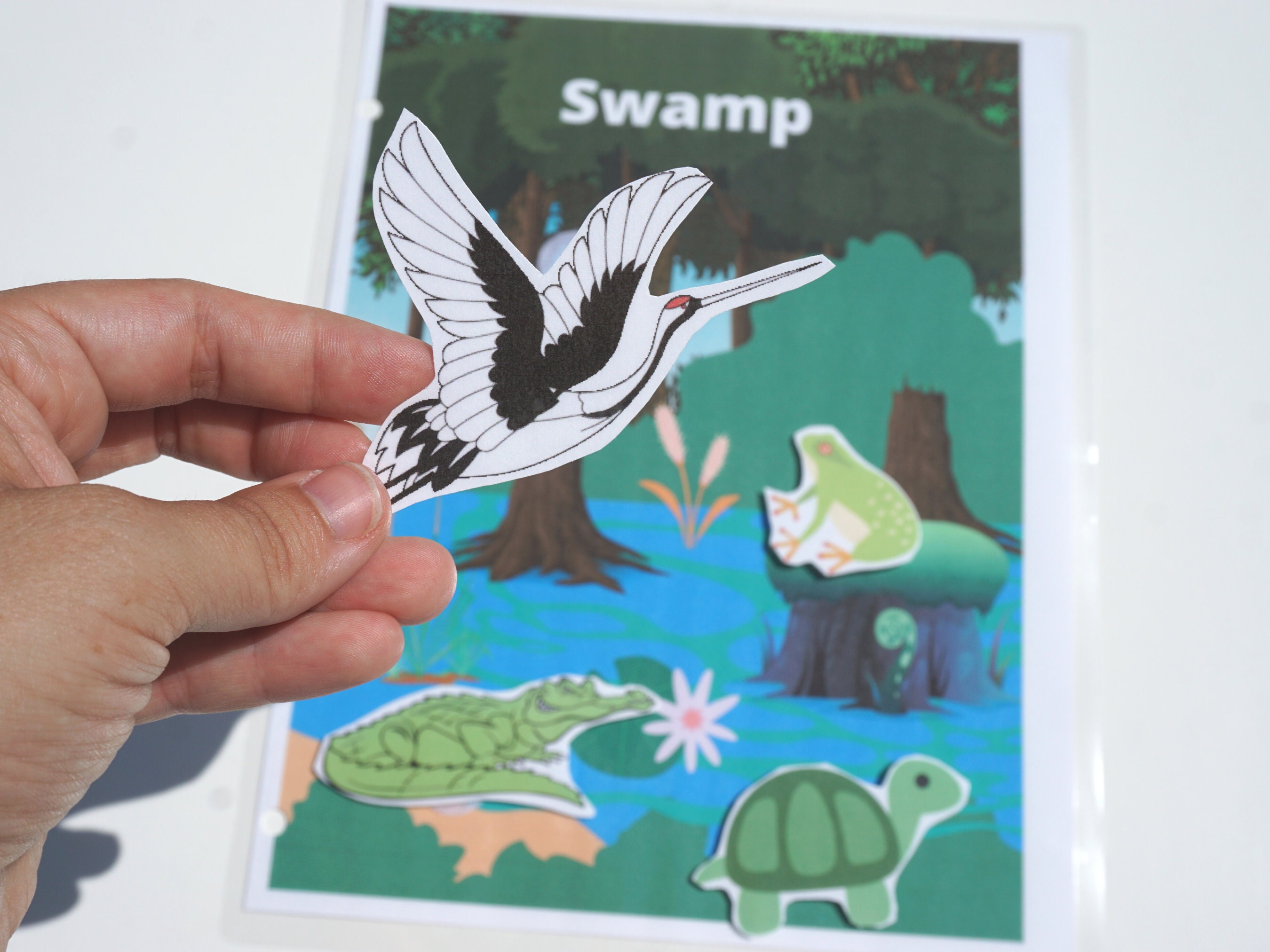 Swamp Animal Habitat Printable Activity for Learning Book | Pre-k Busy ...