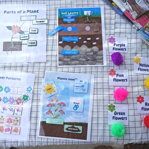 Plant Unit Study MEGA Bundle Printable Download | Garden Theme ...