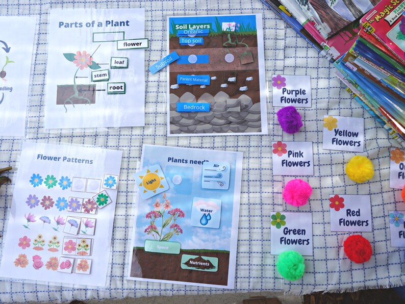 Plant Unit Study MEGA Bundle Printable Download | Garden Theme ...