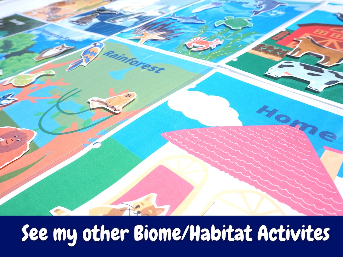 Ocean Biome/habitat Printable Preschool Activity for Busy Book | PRE-K ...