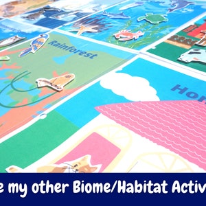 Ocean Biome/habitat Printable Preschool Activity for Busy Book | PRE-K ...